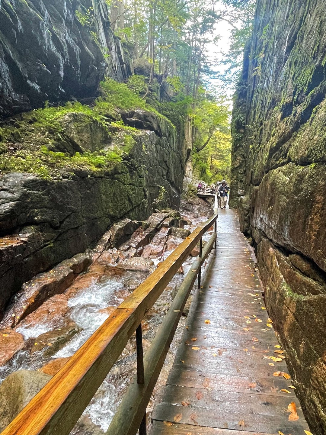 The Best Things To Do in the White Mountains, NH in the Fall