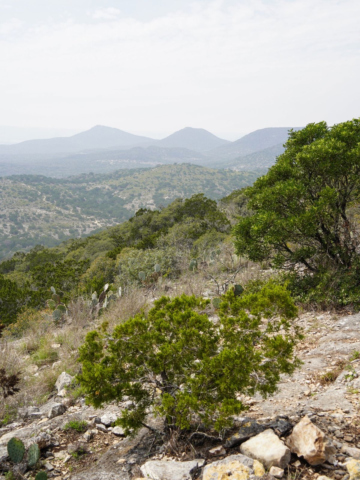 18 Beautiful Places for Hiking in Texas Hill Country
