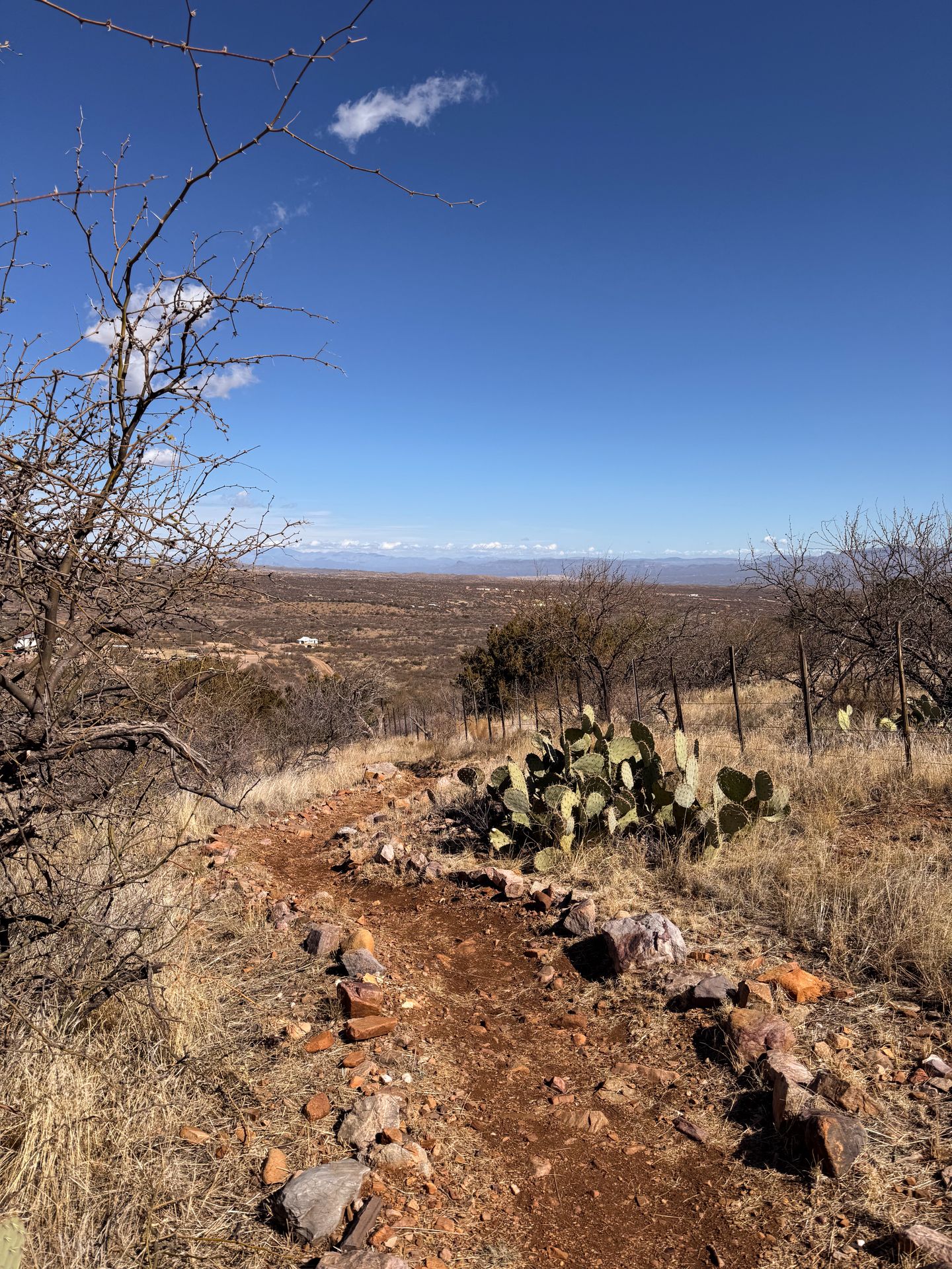 The 10 Best Outdoorsy Things To Do in Tucson (Saguaro National Park ...
