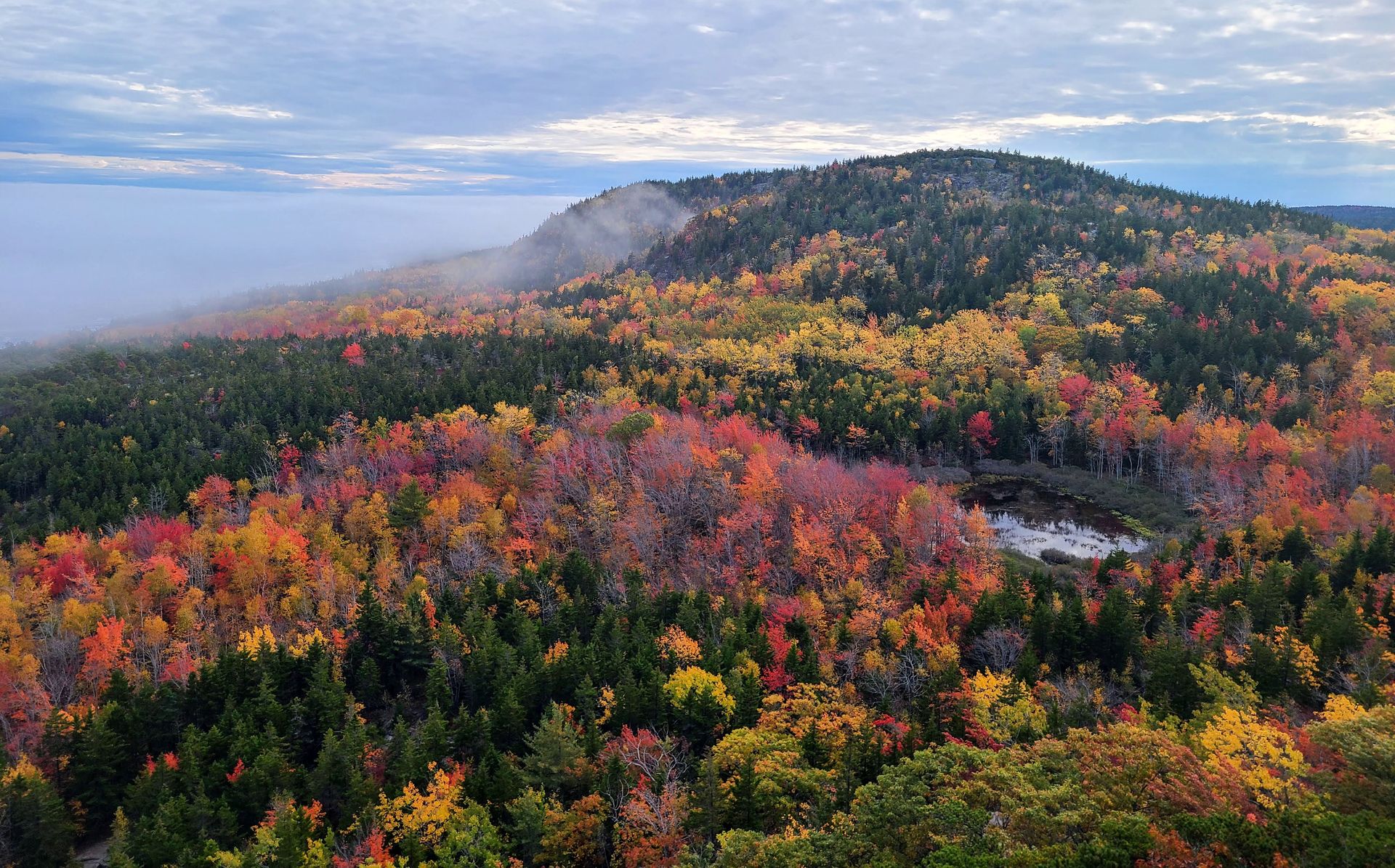 How To Spend One Day in Acadia National Park (Full Itinerary)