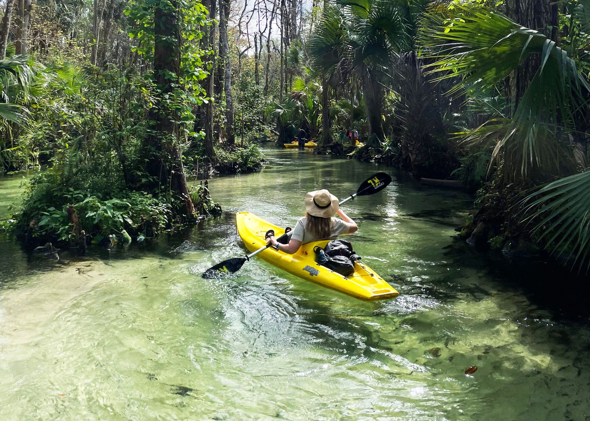 8+ of the Best Things To Do in Orlando Besides Disney