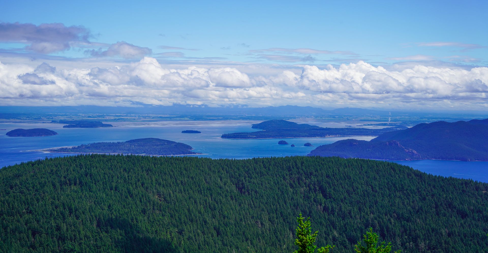 The Best Things To Do on Orcas Island, WA (Whales & More)